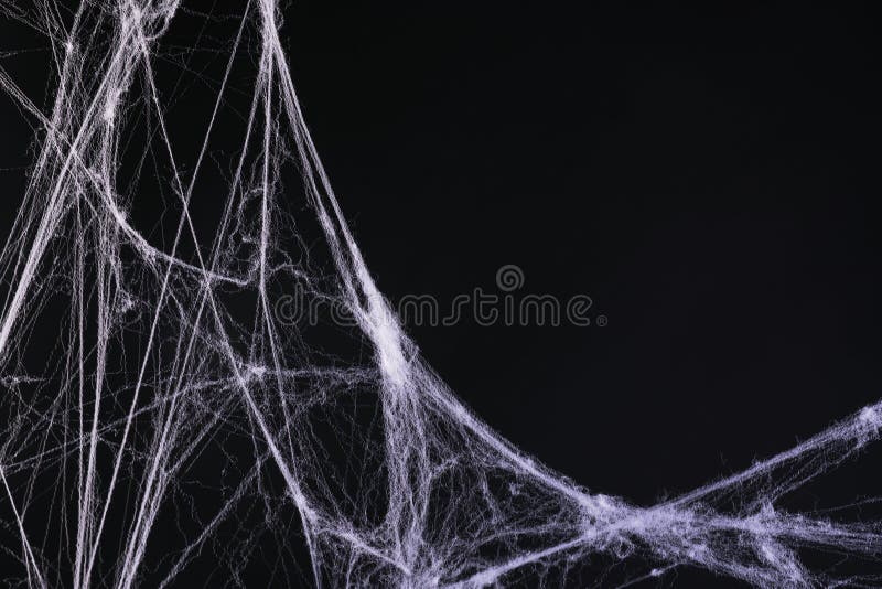 Cobweb Against Black Background Toned Gradient Violet Color Stock ...