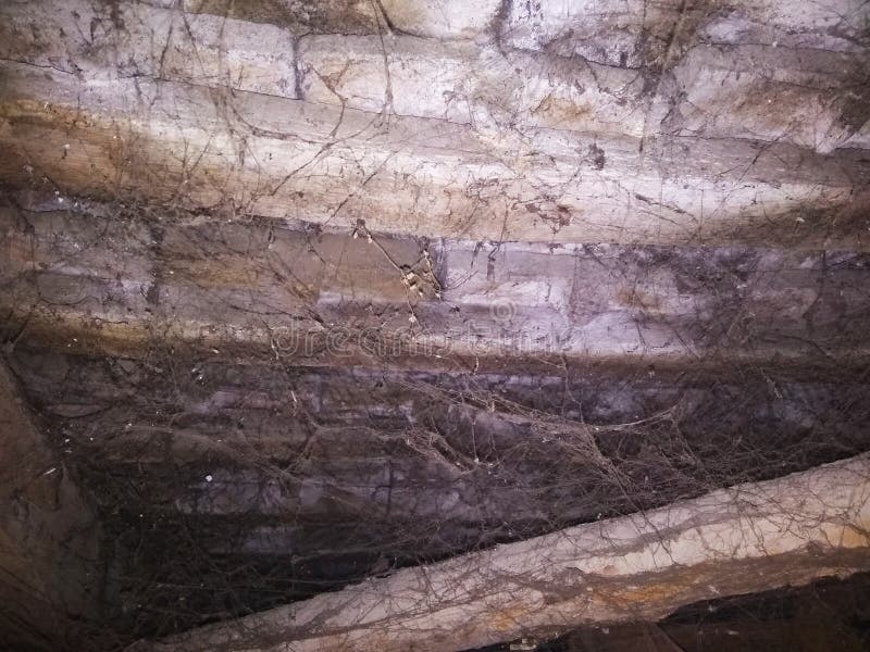 Cobweb on attic stock photo. Image of attic, spiderweb - 131371304