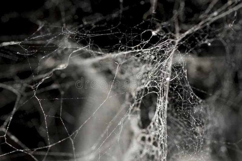 Cobweb background stock photo. Image of pattern, black - 44035404