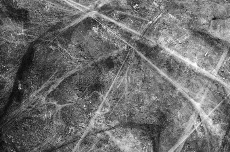 Cobweb on Black Background, Abstract Texture, Halloween Design, Spider ...