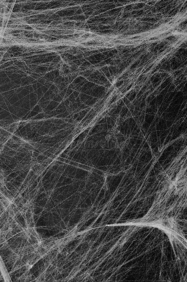 Cobweb on Black Background, Abstract Texture, Halloween Design, Spider ...