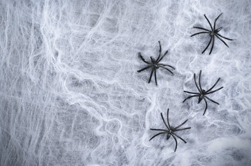Cobweb with Black Spiders on Dark Cobweb Background, Halloween Symbol ...