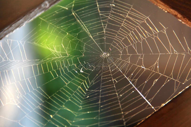 Cobweb Close Up in Scattered Light - Selective Focus, Copy Space Stock ...