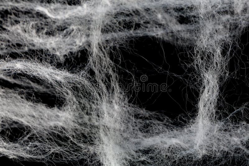 White cobweb overlay stock photo. Image of closeup, isolated - 125415926