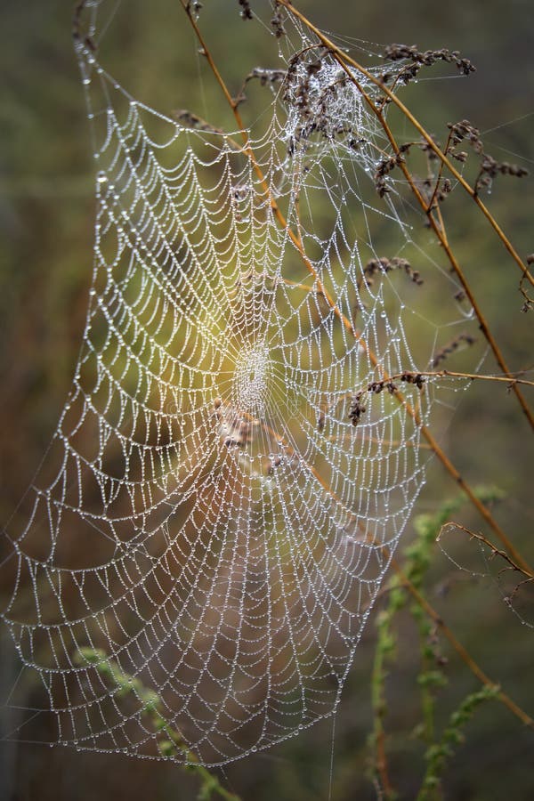 A Cobweb-covered Stone Fireplace with Candles on a Rusty Candlestick ...