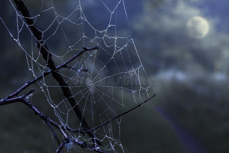 Cobweb with Dew Drops on a Dark, Mysterious Night Sky with a Full Moon ...