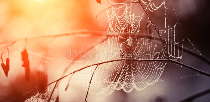 Girls dancing on beach stock photo. Image of leaping - 14129978