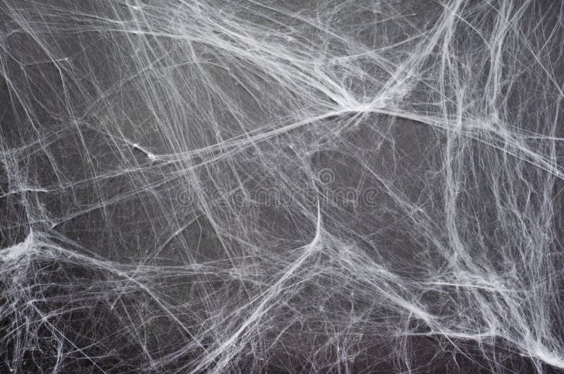 Cobweb on Grey Background, Abstract Texture, Halloween Design, Spider ...