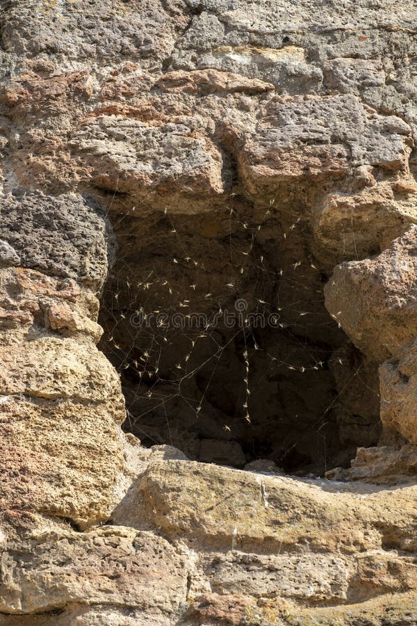 Cobweb Lit by the Sun in a Gorge with Many Trapped Insects, in an Old ...