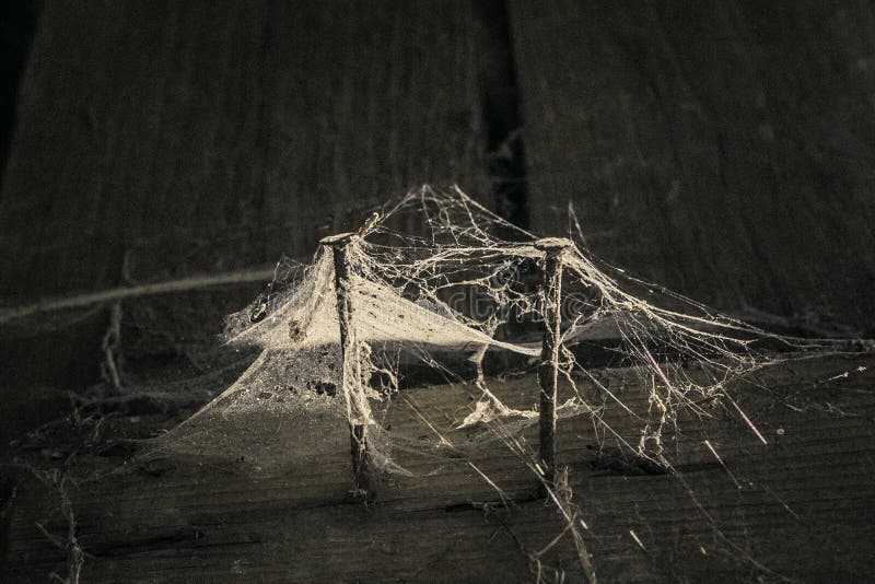 Cobweb and Rusty Nails Two Boards Stock Image - Image of rusty ...
