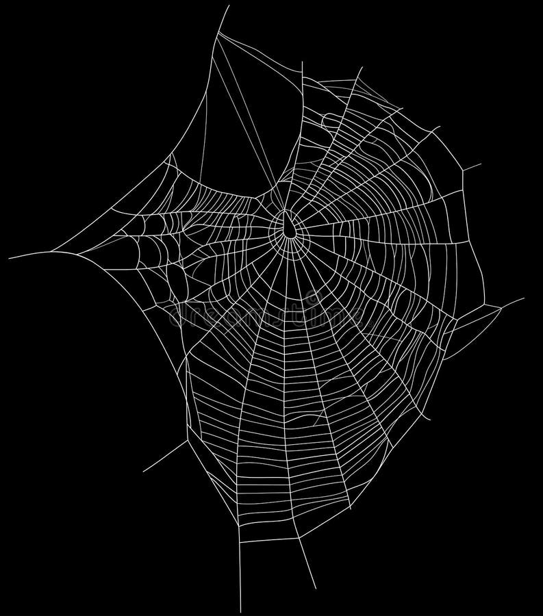 Hand drawing cobweb set stock vector. Illustration of detail - 56262653