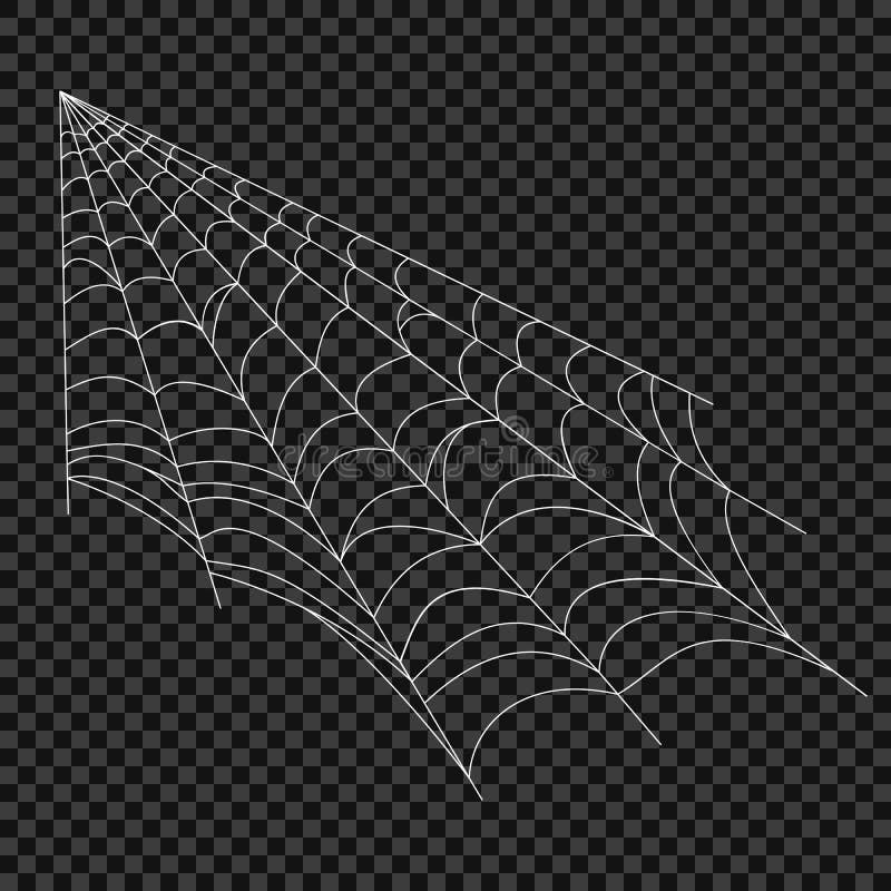 Cool Spider Web Designs