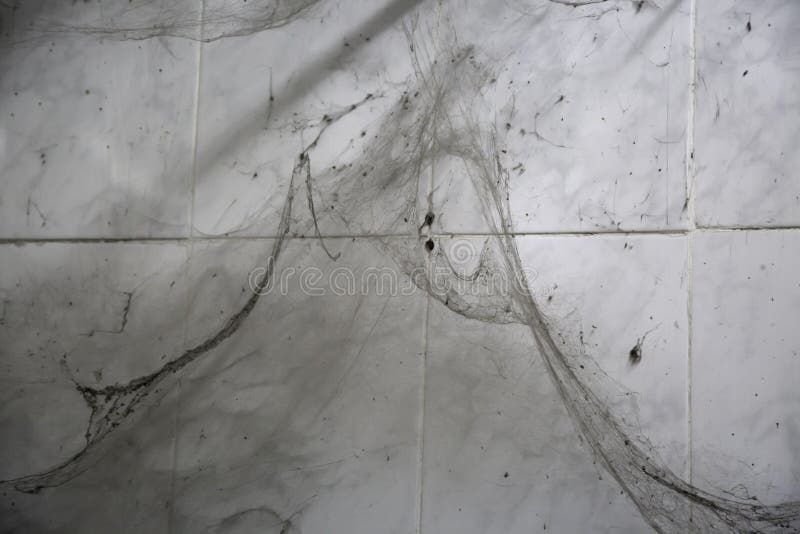 Dirty Cobweb On The Wall. Cobweb In The Dust. The Old Web. Stock Image ...