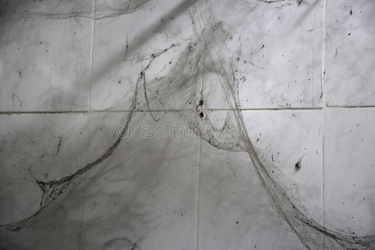 Cobweb on wall stock photo. Image of brick, design, grungy - 135888014