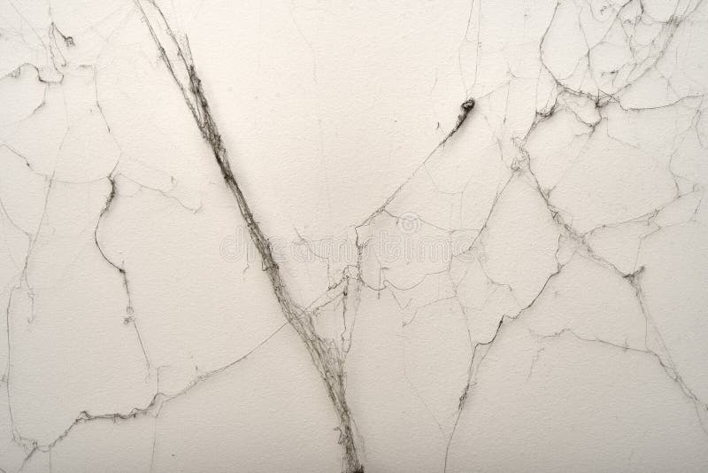 Cobweb on the wall stock image. Image of design, grunge - 240795649
