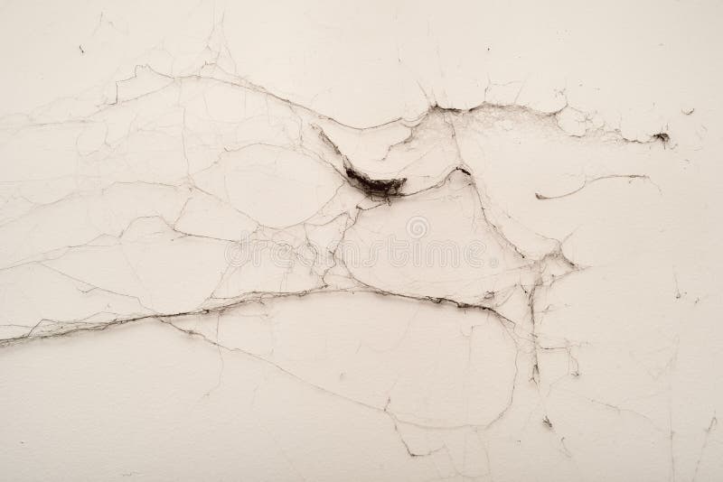 723 Empty Cobweb Stock Photos - Free & Royalty-Free Stock Photos from ...