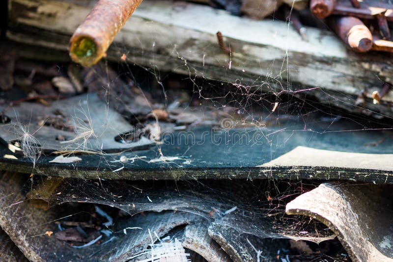 Cobwebbed Corner Stock Photos - Free & Royalty-Free Stock Photos from ...