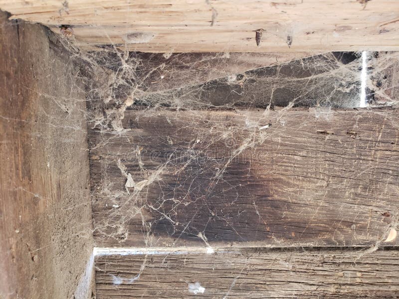 Cobwebs in a Corner of an Old Abandoned Barn Stock Image - Image of ...