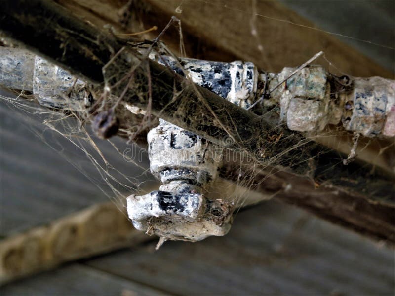 Cobwebs stock image. Image of isolated, nature, spider - 138278593