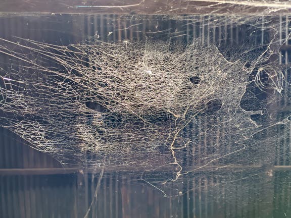 Cobwebs in an house stock photo. Image of iron, wood - 313127336