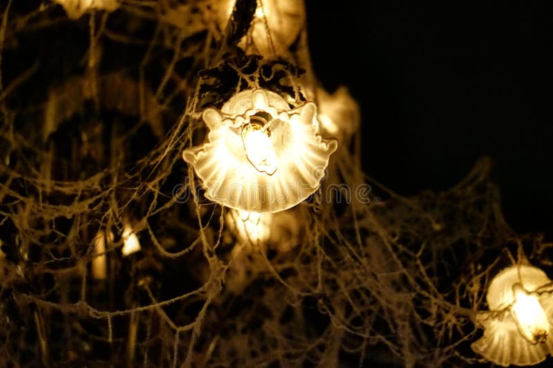 Cobwebs over my lights stock image. Image of cobwebs - 128022331