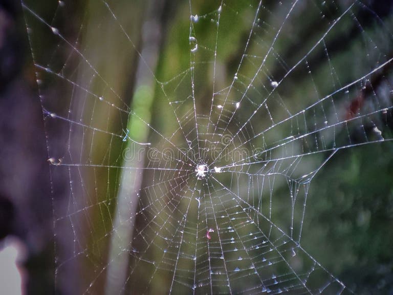 Clipart Stretch Class Silhouette Stock Photos - Free & Royalty-Free ...