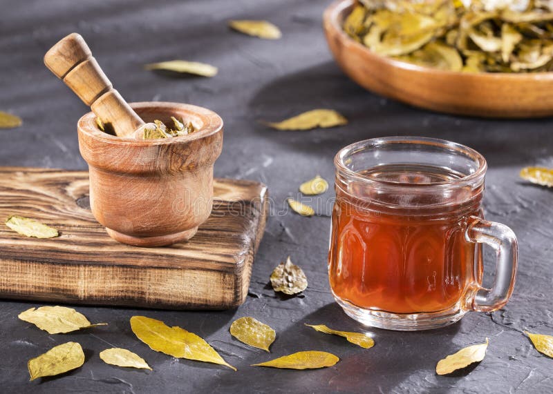 Erythroxylum Coca - Coca Leaf Infusion Stock Image - Image of leaves ...