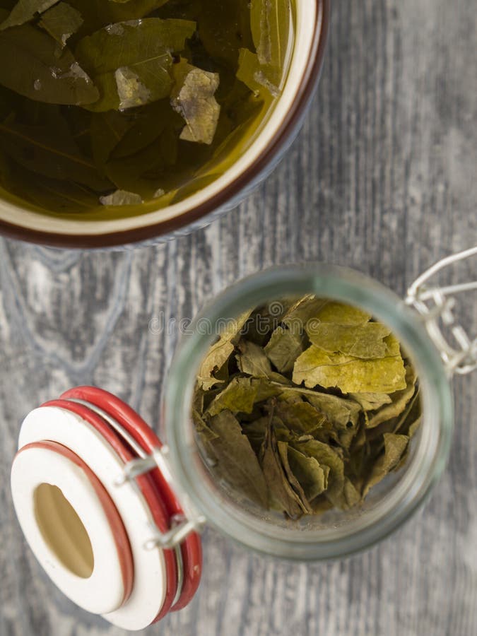 788 Coca Leaf Stock Photos - Free & Royalty-Free Stock Photos from ...