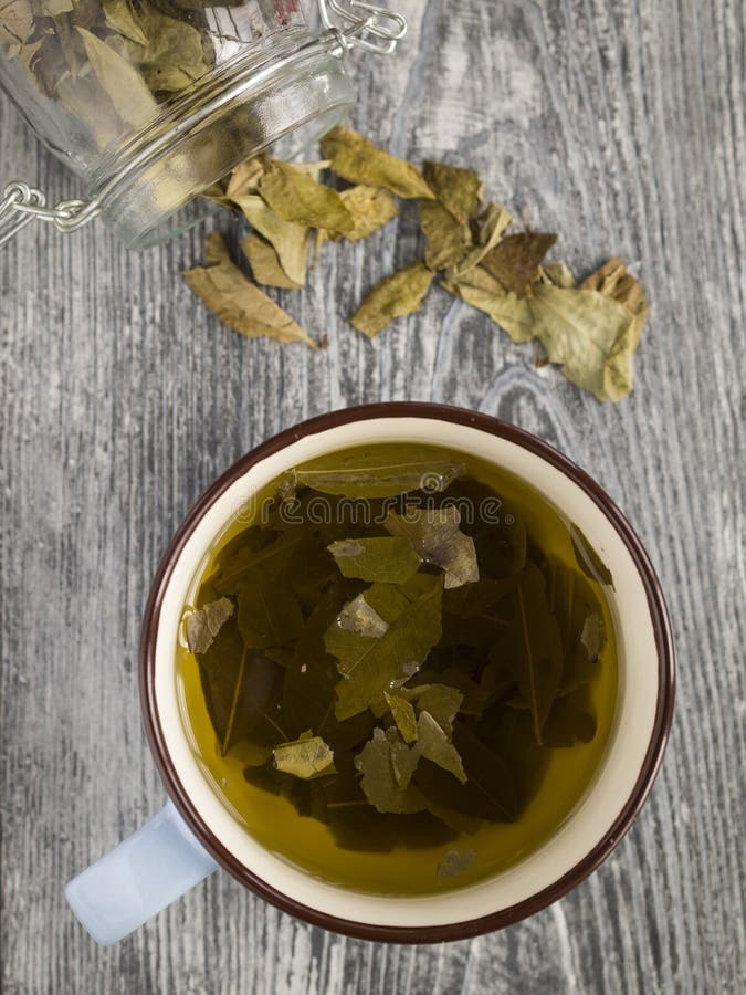 788 Coca Leaf Stock Photos - Free & Royalty-Free Stock Photos from ...