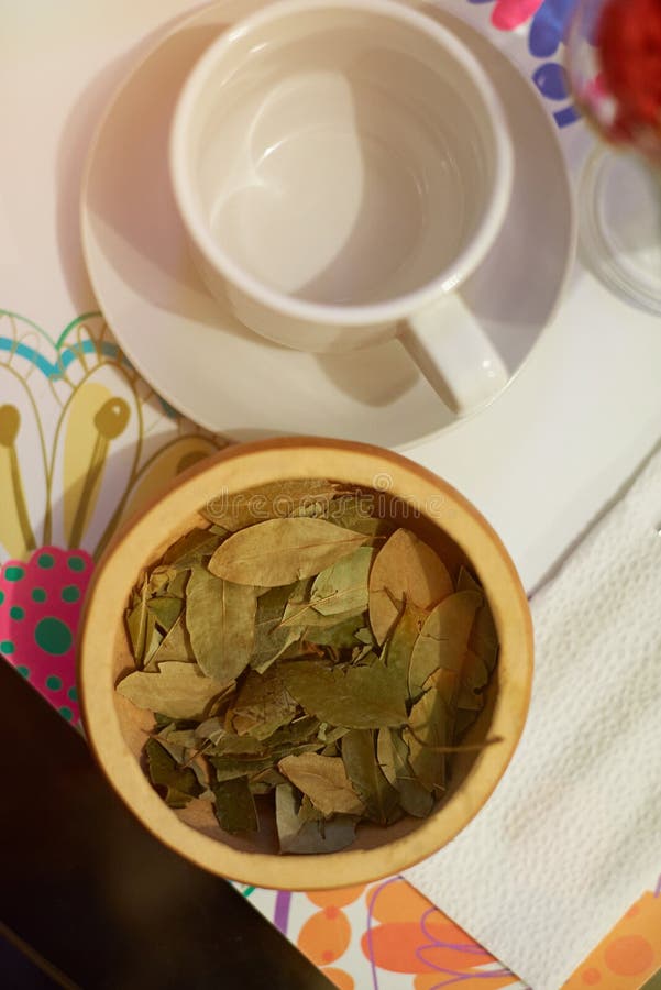 Coca tea leafs stock image. Image of leaf, ingredient - 117075225