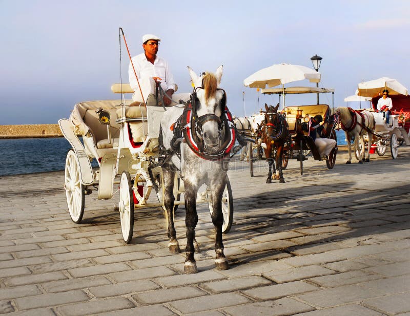 Cocchiere Con Carrozza A Cavalli Alla Porta Di Brandeburgo, Berlino ...