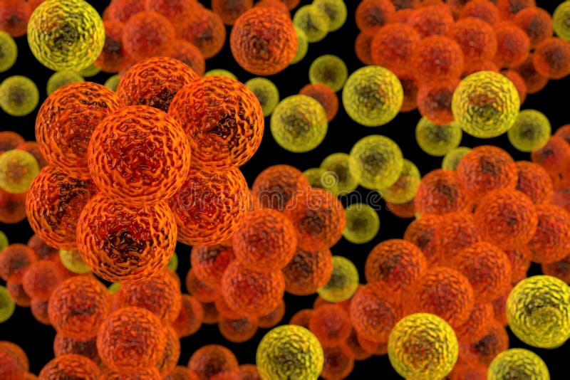 Cocci stock illustration. Illustration of biology, research - 29169990