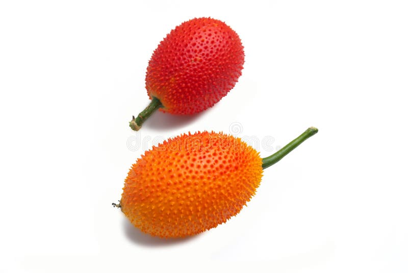Cochinchin Gourd and Cochinchin Gourd Slice on Wooden White Background ...