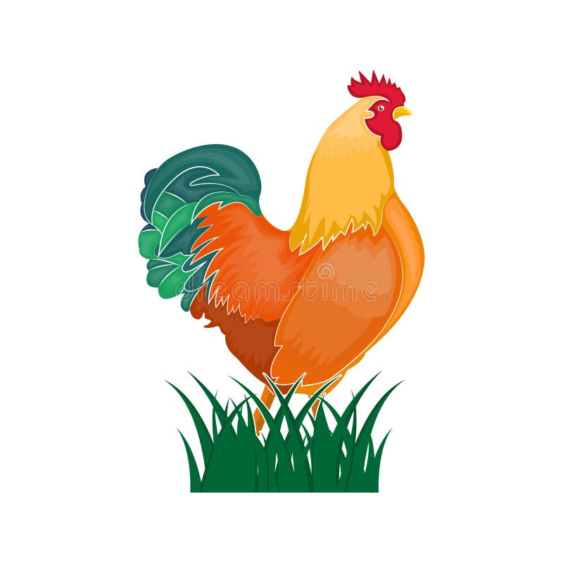 Roster Farm Stock Illustrations – 183 Roster Farm Stock Illustrations ...