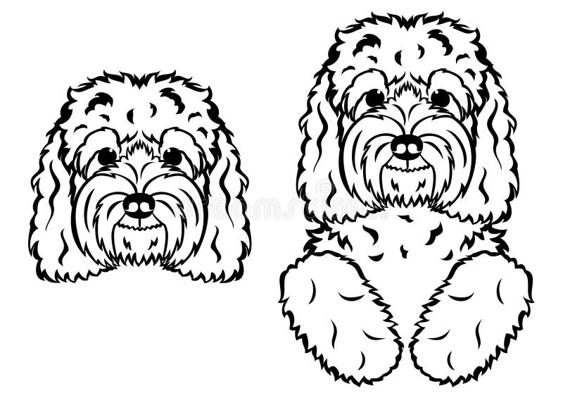 Cockapoo Vector Stock Illustrations – 97 Cockapoo Vector Stock ...