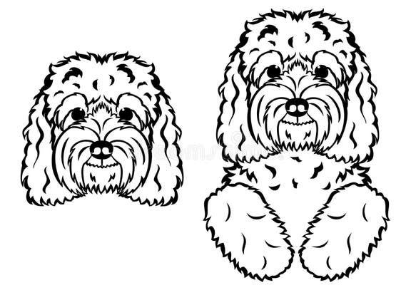 Cockapoo Stock Illustrations – 726 Cockapoo Stock Illustrations ...
