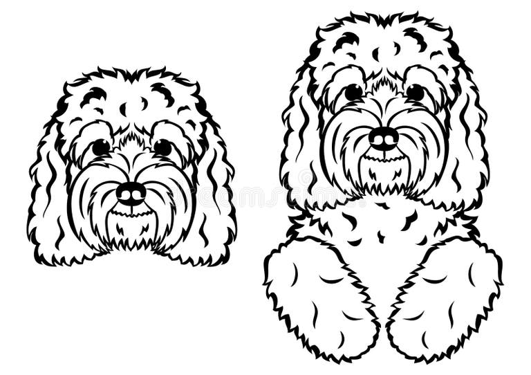 Cockapoo Stock Illustrations – 655 Cockapoo Stock Illustrations ...