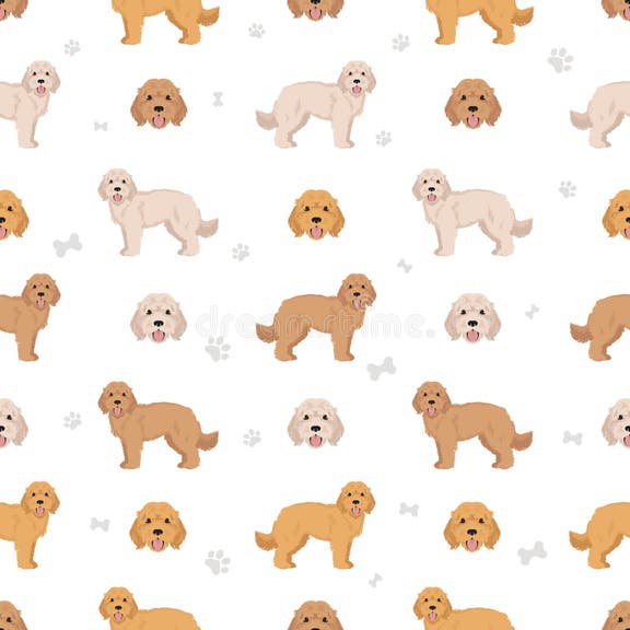 Cockapoo Seamless Pattern. Different Poses, Coat Colors Set Stock ...