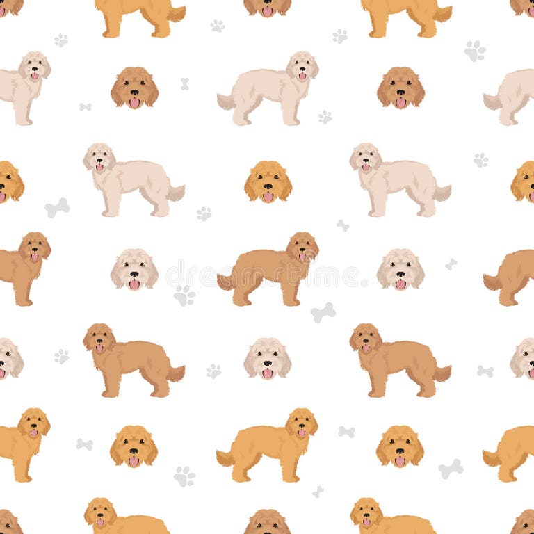 Cockapoo Seamless Pattern. Different Poses, Coat Colors Set Stock ...