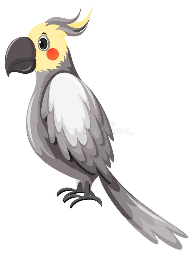 Cockatiel Bird in Cartoon Style Stock Vector - Illustration of concept ...