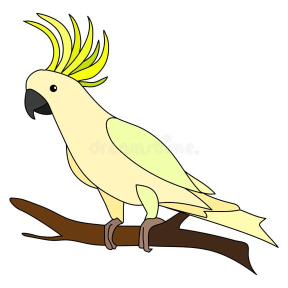 Cockatoo ilustração do vetor. Ilustração de desenho, batuque - 75265271