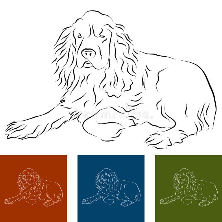 Cocker Spaniel Line Drawing Stock Illustrations – 524 Cocker Spaniel ...