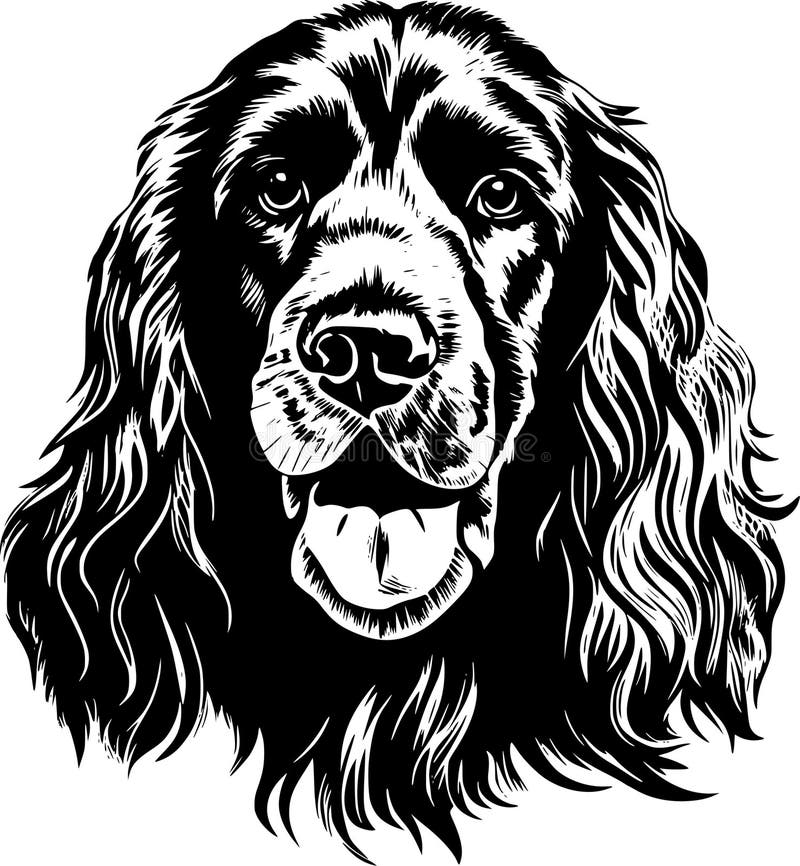 Cocker Spaniel - Black and White Vector Illustration Stock Vector ...