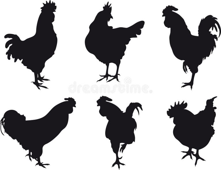 Cockerel Outline Stock Illustrations – 3,645 Cockerel Outline Stock ...