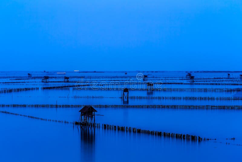 Cockle farm stock image. Image of outdoor, marine, cockle - 50889175