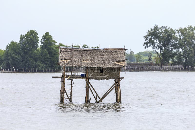 Cockle farm stock photo. Image of travel, fisherman, fish - 63935820