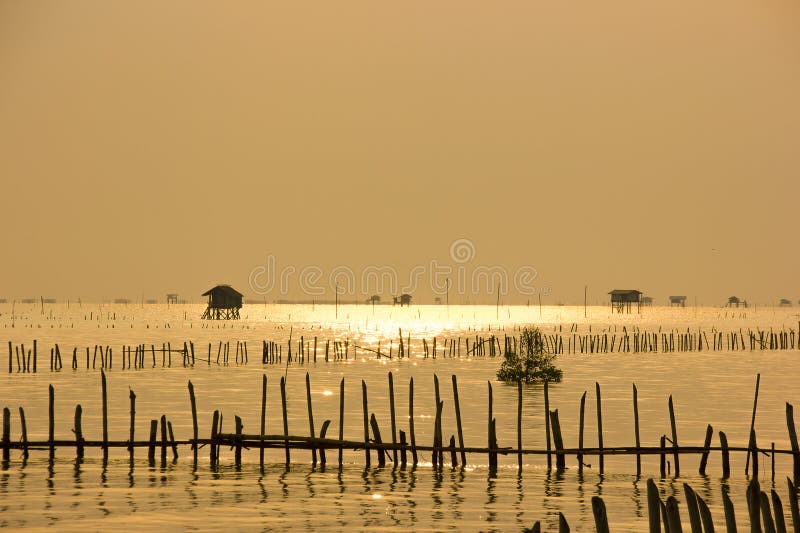 Cockle farm scenery stock image. Image of skyline, dusk - 276081015