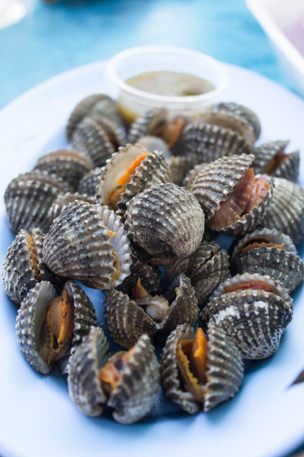 Cockle and Raw Sea Food at Asian Street Market Stock Image - Image of ...
