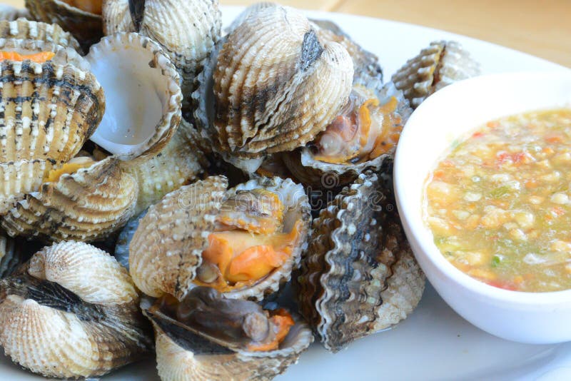 Cockle stock photo. Image of food, tasty, meal, cockle - 67765588