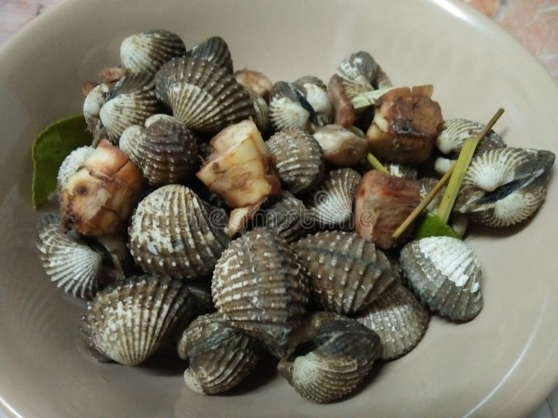 Cockle stock image. Image of cockle, food, streamed, seafood - 98675493